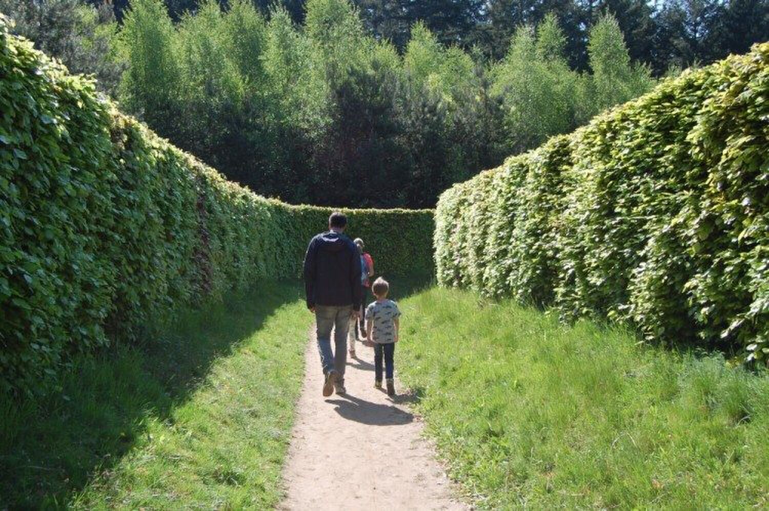 Tip: verdwalen in het grootste doolhof van Nederland